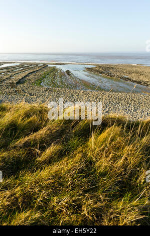 Stones and slabs at low tide on Lilstock beach, Somerset Stock Photo ...