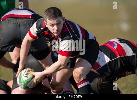 Rugby - scrum half pass the ball from the base of a ruck Stock Photo ...