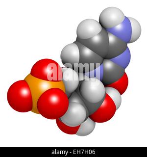 Cytidine monophosphate molecule Stock Photo - Alamy
