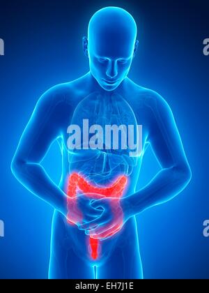 Human large intestine pain, illustration Stock Photo - Alamy