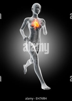 Runner heart, artwork Stock Photo: 65219546 - Alamy