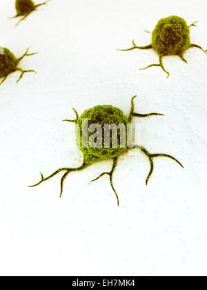 Computer artwork of cancer cells Stock Photo - Alamy