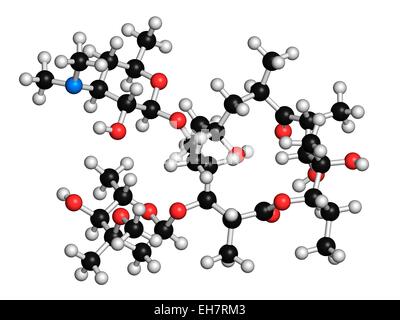Erythromycin ethylsuccinate. Molecular model of the antibiotic drug ...
