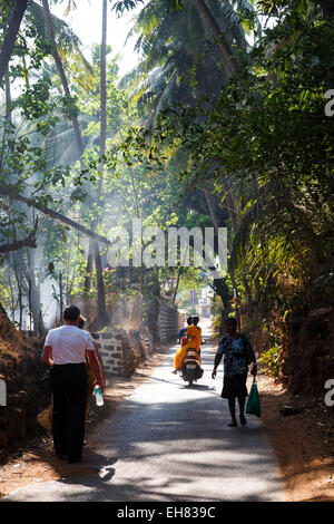 Typical road scene, Goa, India, Asia Stock Photo - Alamy