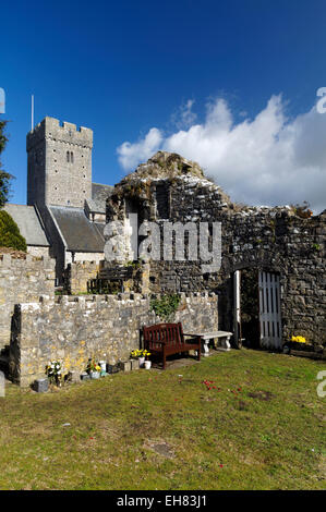 Remains of the Raglan Chantry Priests House, St Illtyds Church ...