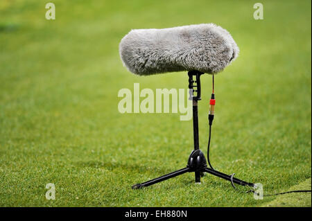 directional microphone on a football field to record the sound of a ...