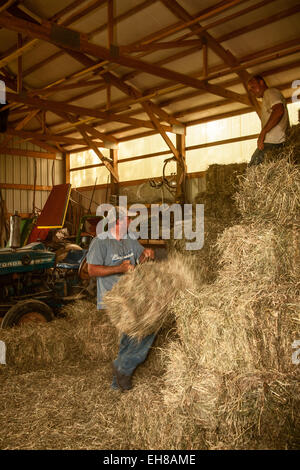 Caucasian Men in His 30s Inside Convertible Vehicle with Open Roof on ...