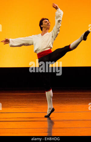 new york ballet star in gran gala at auditorium parco della musica ...