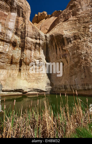 El Morro National Monument, Cibola County, New Mexico, USA Stock Photo ...