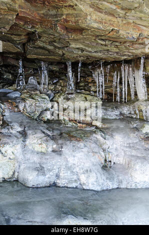 Maine Coon - in cave Stock Photo - Alamy