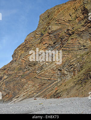 Chevron folds of sandstone and shale rock layers in Millook Haven ...