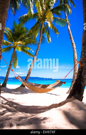 Straw hammock in the shadow of palm on tropical beach by sea Stock ...