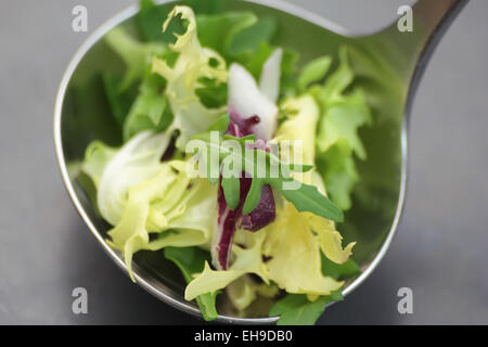 Ladle of tiny green salad leaves and a few slices of chili Stock Photo ...
