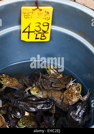 Live frogs for sale as food in Sohra Market, CherrapunjiMeghalaya ...