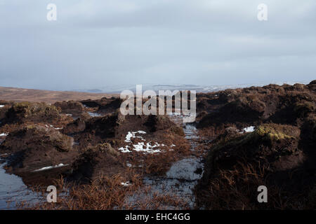 Bogholes on bogland Stock Photo - Alamy