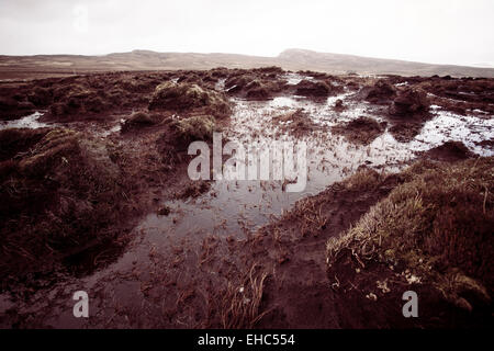 Bogholes on bogland Stock Photo - Alamy