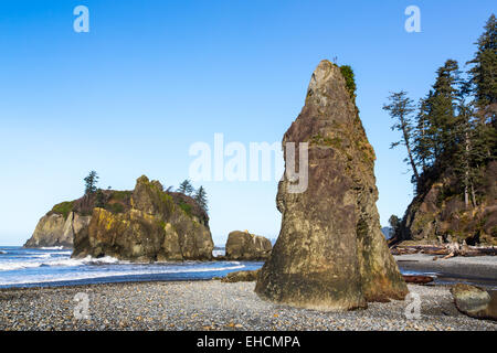 Sea stacks at Ruby Beach, Washington Stock Photo - Alamy