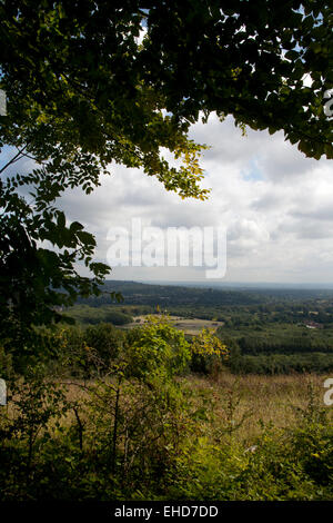 The ridges and valleys of the Weald from the North Downs Way, Surrey UK ...