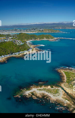 Island Bay and Tapu Te Ranga Island, Wellington, North Island, New ...
