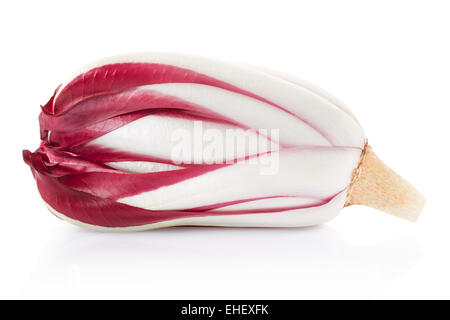 Radicchio, red Treviso salad Stock Photo - Alamy