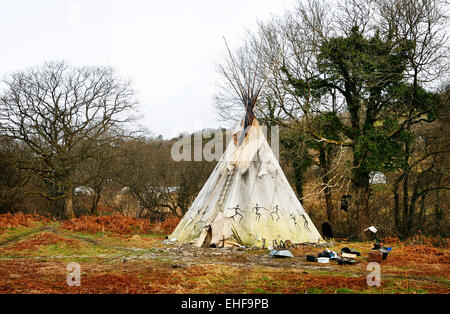 A tipi at Tipi Valley an eco community near Talley in Wales Stock Photo ...