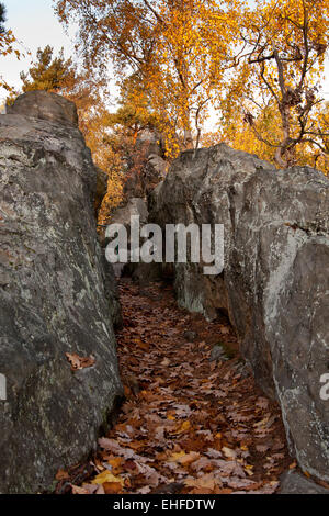 hike the Devil's staircase wall Stock Photo - Alamy
