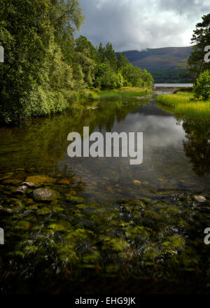 Loch Morlich, Scotland Stock Photo - Alamy