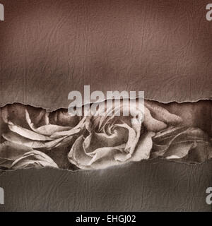 old grunge background with roses Stock Photo - Alamy
