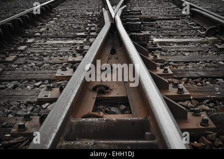 Old railroad tracks going in different directions Stock Photo - Alamy