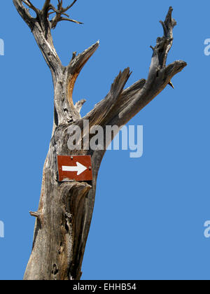 Sign on tree pointing to right to natural phenomenon lake on slopes of ...