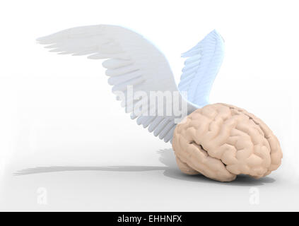 Flying brain with white wings. 3D illustration Stock Photo - Alamy