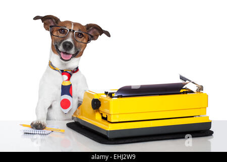 jack russell secretary dog typing on a typewriter keyboard Stock Photo ...