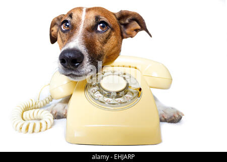 dog phone call Stock Photo - Alamy