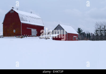 Red Barn In Winter Snow. Historic Barn. Old red barn at Daniel Arnold ...