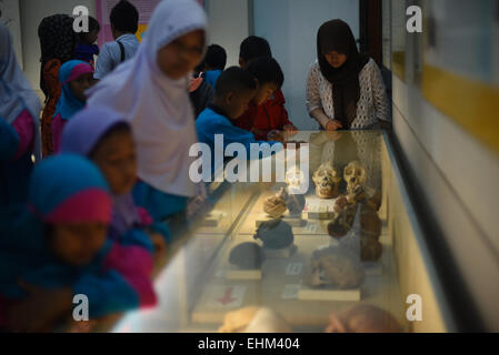 School pupils examining hominid skulls at Museum Geologi (Geology ...