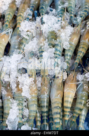 Fresh grey raw prawn or shrimps on fish market Stock Photo - Alamy