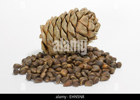 cedar cone, nuts, isolated on white background, clipping path, full ...