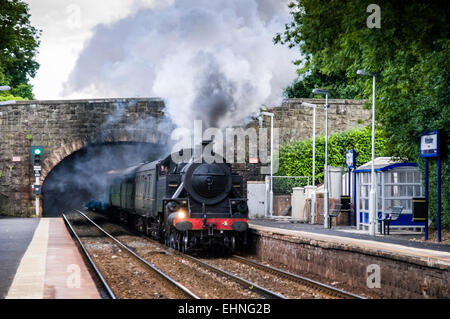 A steam locomotive passing underneath a bridge at Cambrian Heritage ...