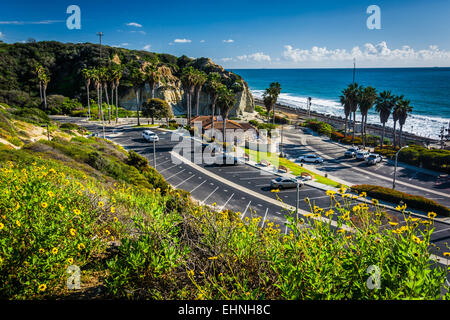 Flowers in a garden at Calafia Park and view of Avenida Lobeiro in San ...