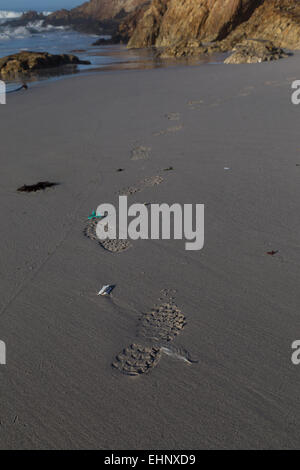 beach, footprint, beaches, seaside, footprints Stock Photo - Alamy
