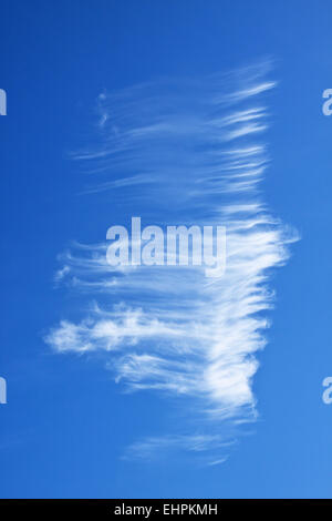 The sky with blurred cirrus and cumulus clouds illuminated by the ...