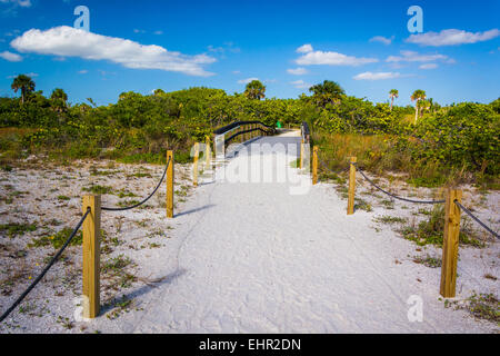 Trail to the beach in Sanibel, Florida Stock Photo - Alamy