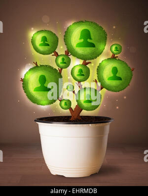 Social network tree coming out of flowerpot Stock Photo - Alamy