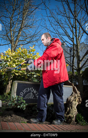 red leaves on a bush in autumn Stock Photo - Alamy