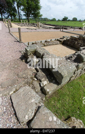 Picturesque view of Birdoswald Roman Fort building foundations and ...