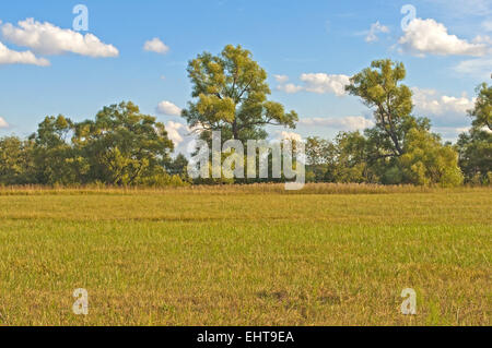 Sloping field in autumn in Russia, Tula region Stock Photo - Alamy