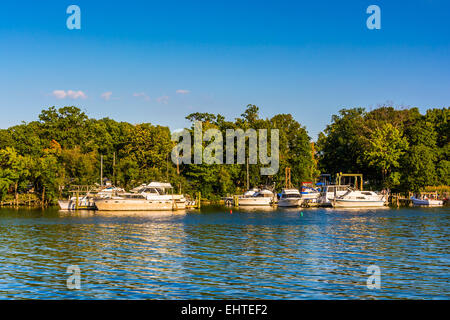 The Back River at Cox Point Park in Essex, Maryland Stock Photo - Alamy