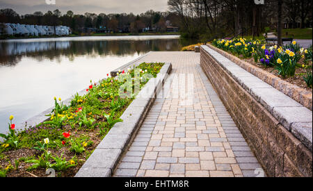 Walkway along Wilde Lake, in Columbia, Maryland Stock Photo - Alamy