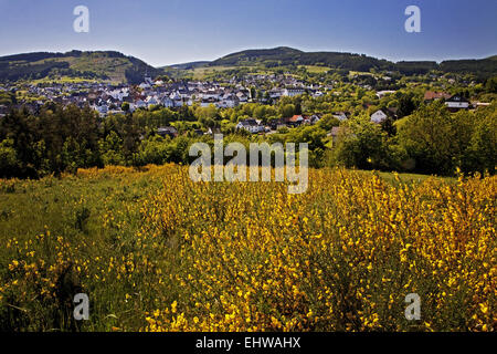 City view of Hallenberg in the Sauerland Stock Photo - Alamy