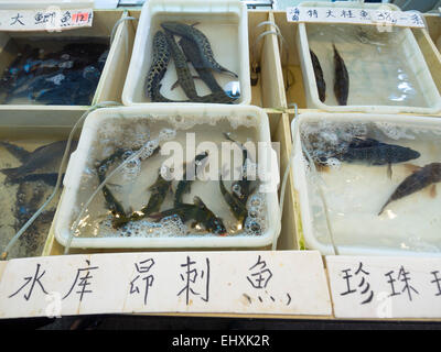 Seafood market stall, Shanghai, China Stock Photo - Alamy